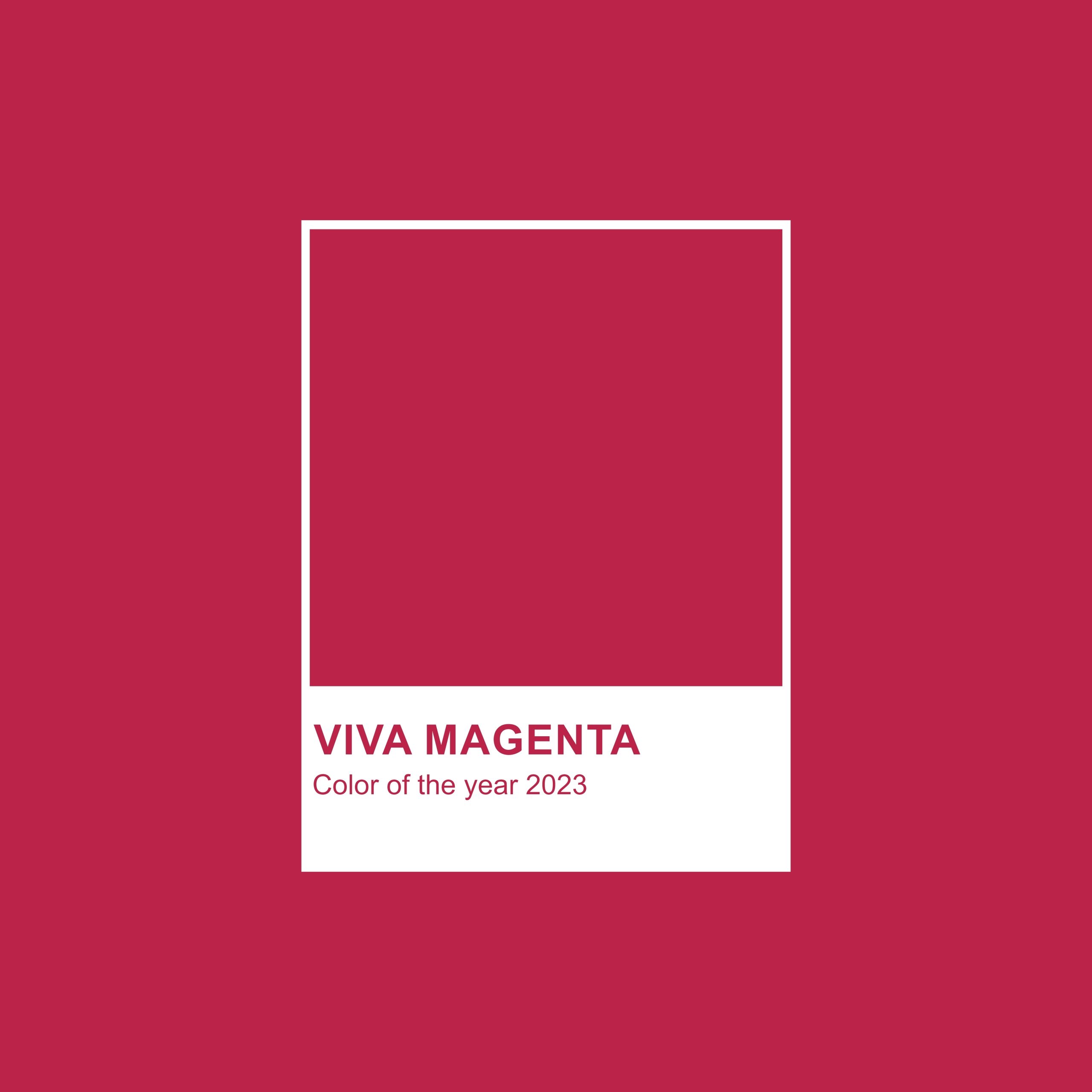En 2023, on ose la couleur! - Mandree Design